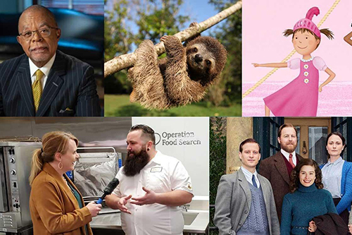 Culture & Art in St. Louis: Nine Network – Presented by Jim Kirchherr ...