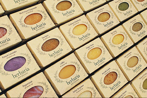 Herbaria Tour & Lunch on The Hill – St. Louis Oasis Store